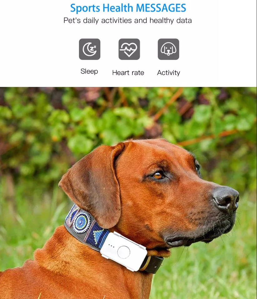 4G Pet Dog Cat GPS Tracker App Control – Techlive